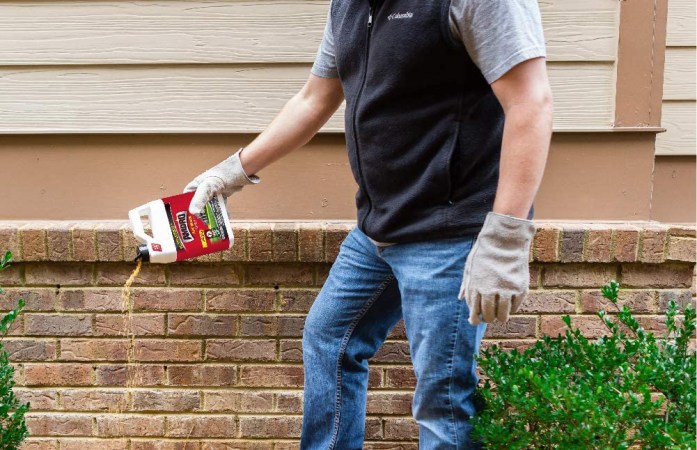 The Best Fire Ant Killers, Vetted - Picks from Bob Vila