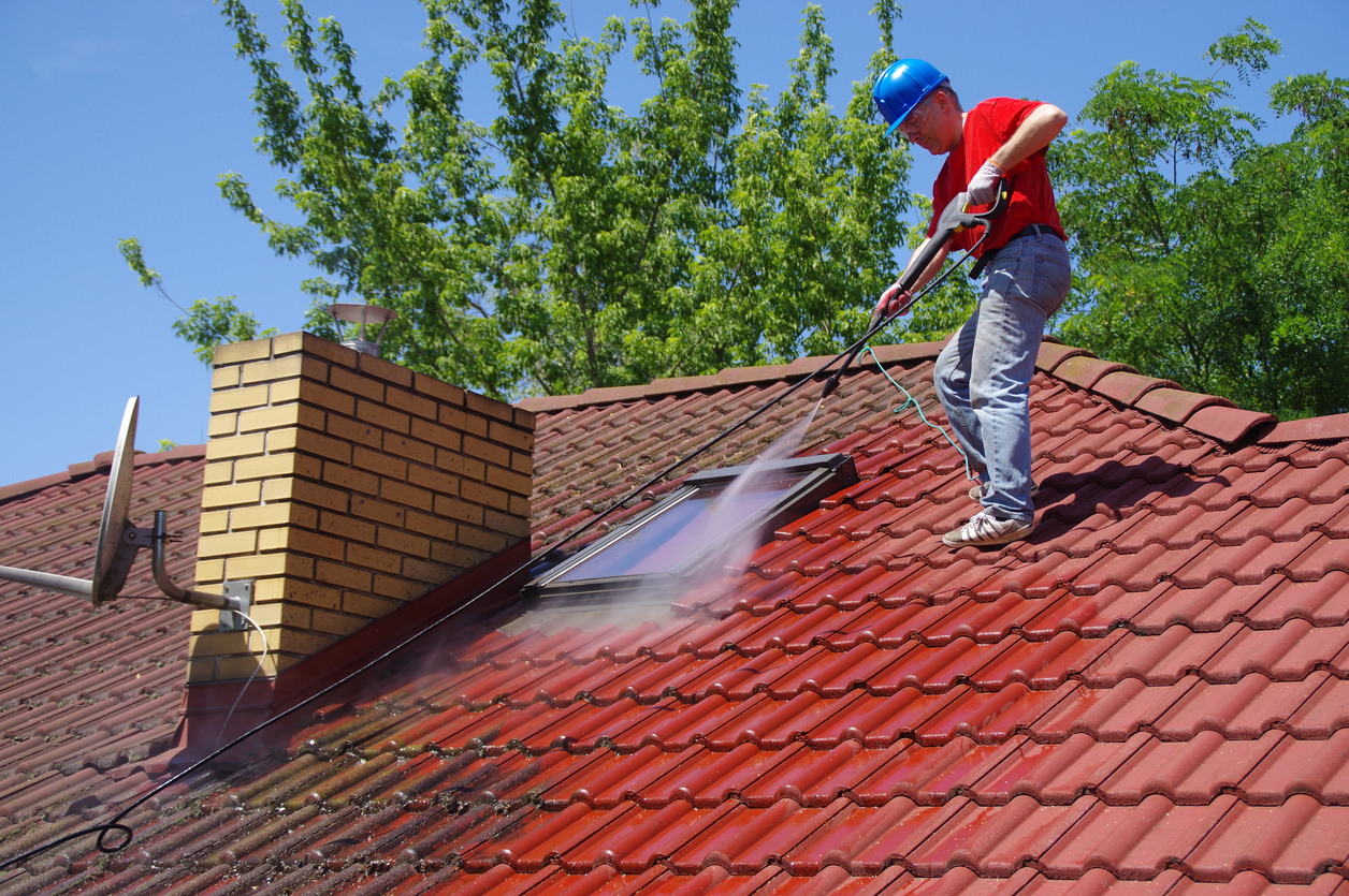 The Best Roof Cleaners - Picks from Bob Vila