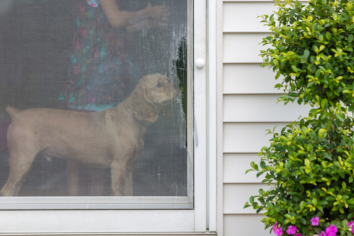 How to Repair a Screen Door