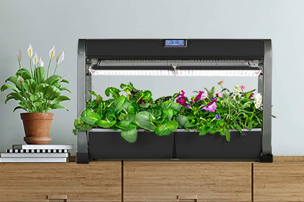 The Best AeroGarden to Bring Your Garden Indoors - Bob Vila