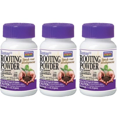 The Best Rooting Hormone Options Today - Top Picks by Bob Vila