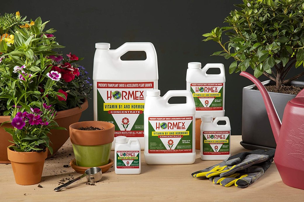 The Best Rooting Hormone Options - Picks by Bob Vila