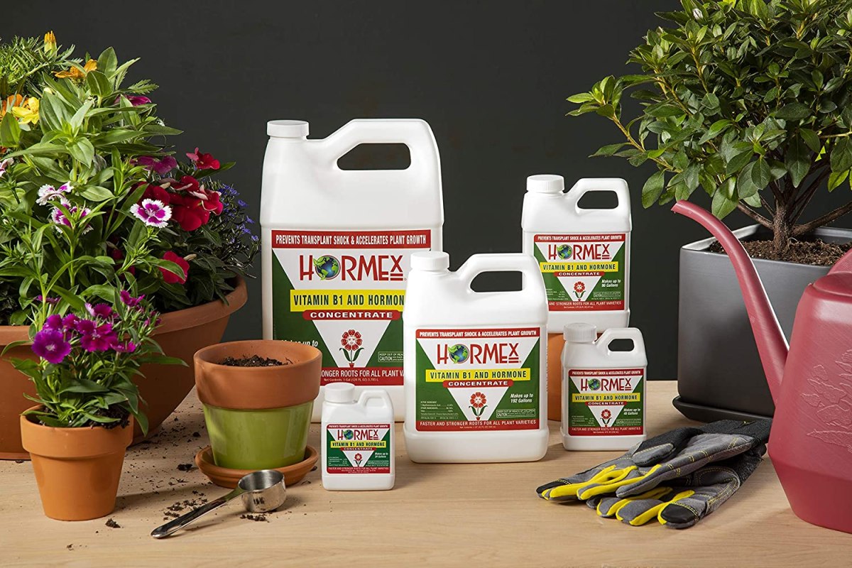 The Best Rooting Hormone Options Today - Top Picks by Bob Vila