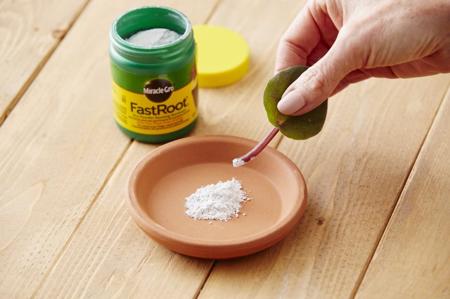 The Best Rooting Hormone Options - Picks by Bob Vila