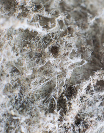 What Does Asbestos Look Like? Beware of This Danger Hiding in Plain Sight