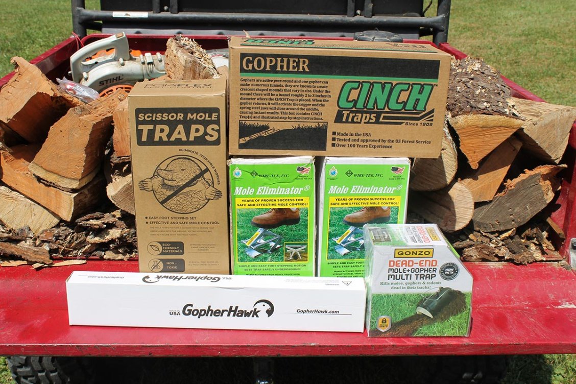 The Best Mole Traps of 2025 | Tested by Bob Vila