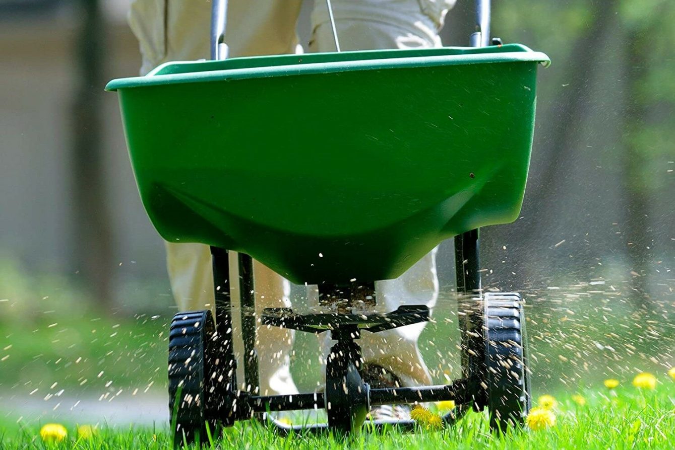 The Best Dandelion Killers Reviewed Picks From Bob Vila