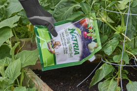 The Best Slug Killers - Pick by Bob Vila