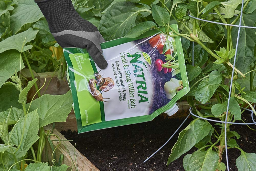 The Best Slug Killers - Recommendations from Bob Vila