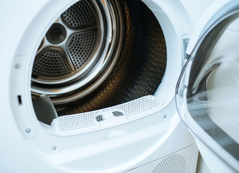 Solved! Why Is My Dryer Squeaking? - Bob Vila