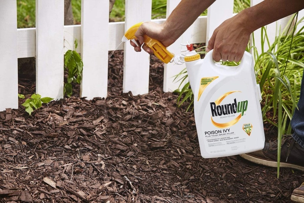 How to Kill Tree Roots (Project Guide) - Bob Vila