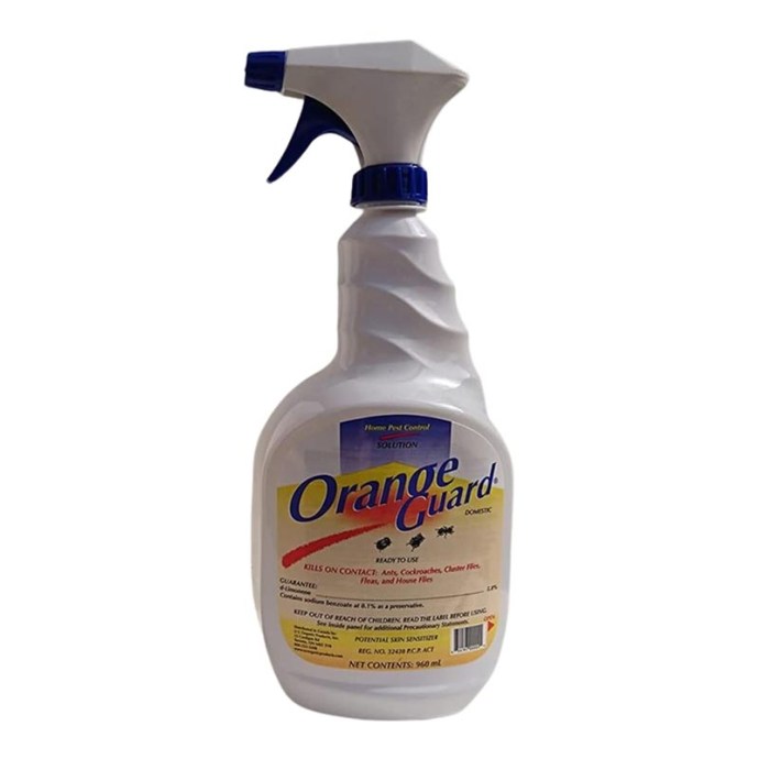 The 9 Best Carpenter Ant Killers, Vetted