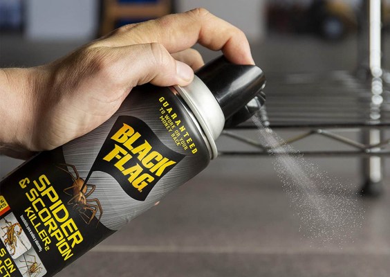 The Best Scorpion Killers, Vetted - Picks by Bob Vila