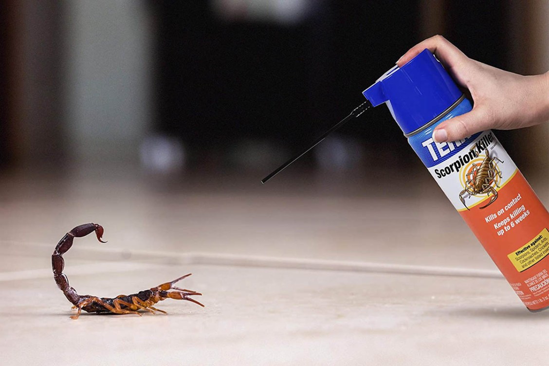 The Best Scorpion Killers, Vetted - Picks by Bob Vila