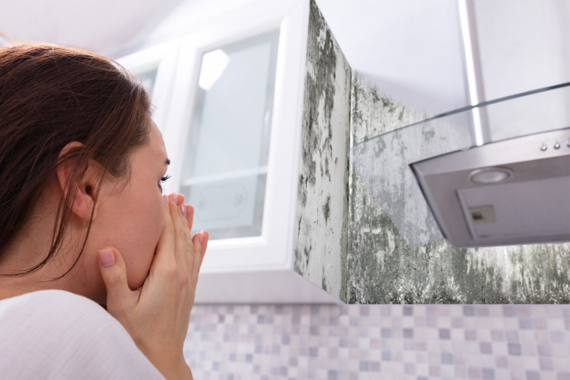 Solved! What Does Mold Smell Like? - Bob Vila