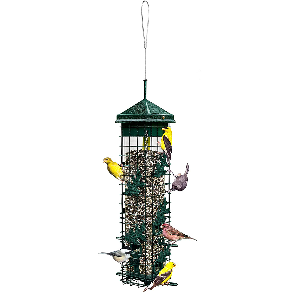 The Best Squirrel-Proof Bird Feeders, According to Testing