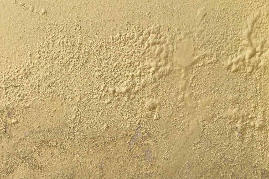 Paint Bubbling on Walls: What Causes It, and How to Fix It