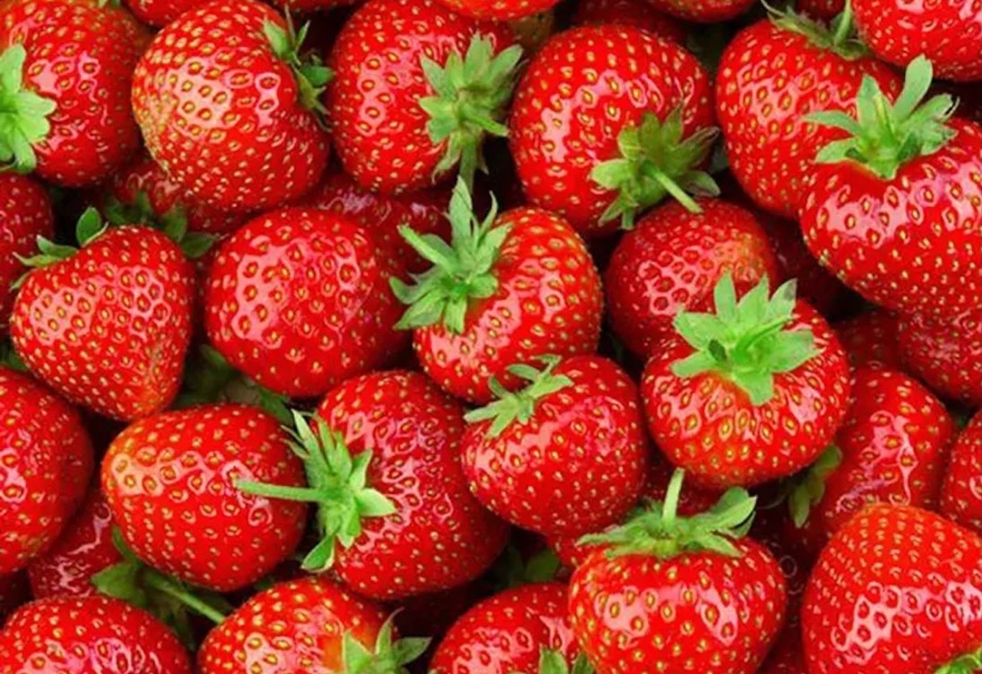 How to Grow Strawberries