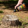 How to Kill a Tree Stump | 3 Natural Methods, and 3 Methods to Avoid