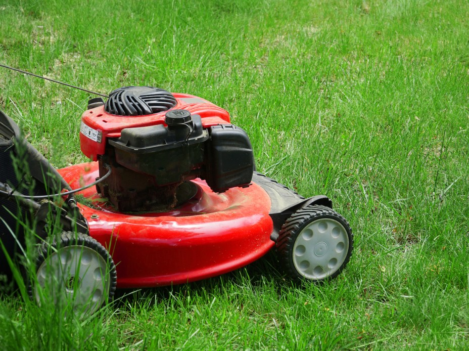 Mowing Wet Grass: Is it a Bad Idea?