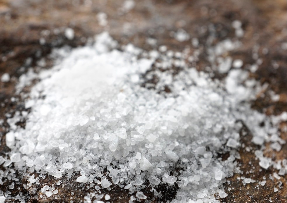 How to Kill a Tree Stump | 3 Effective Methods + 3 Methods to Avoid