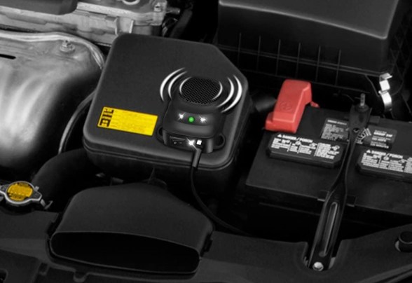 The Best Rat Repellents (2024 Guide)