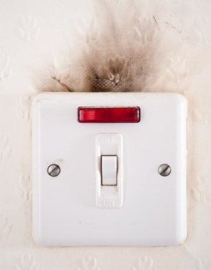 What’s Causing the Fish Smell In My House? The Real Reason For Fish ...