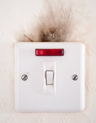 What’s Causing the Fish Smell In My House? The Real Reason For Fish ...