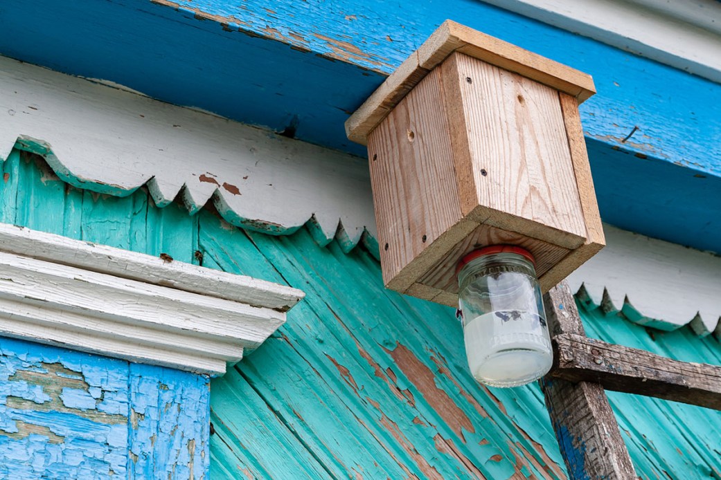 How to Make a Carpenter Bee Trap: A Step-by-Step Guide - Bob Vila