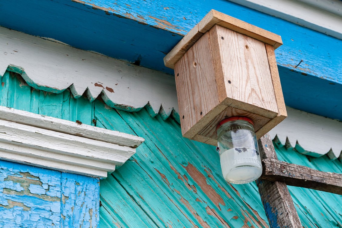 How to Make a Carpenter Bee Trap: A Step-by-Step Guide - Bob Vila