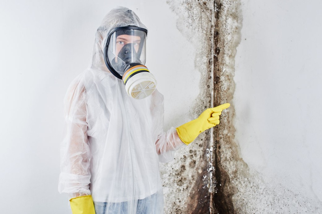 Mold Remediation Cost Guide: What to Know + How Much You'll Pay
