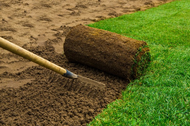 How Much Are Sod Prices? - Bob Vila