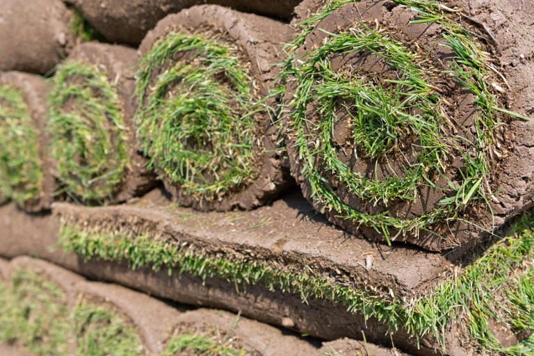 How Much Are Sod Prices? - Bob Vila