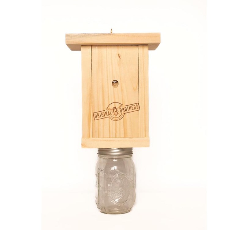 The Best Carpenter Bee Traps - Picks by Bob Vila