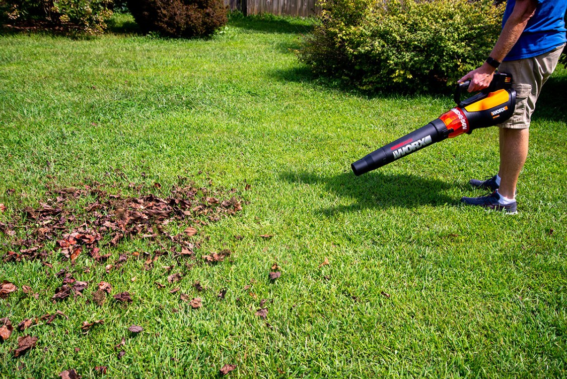 The Best Leaf Blowers, Expert-Tested and Reviewed
