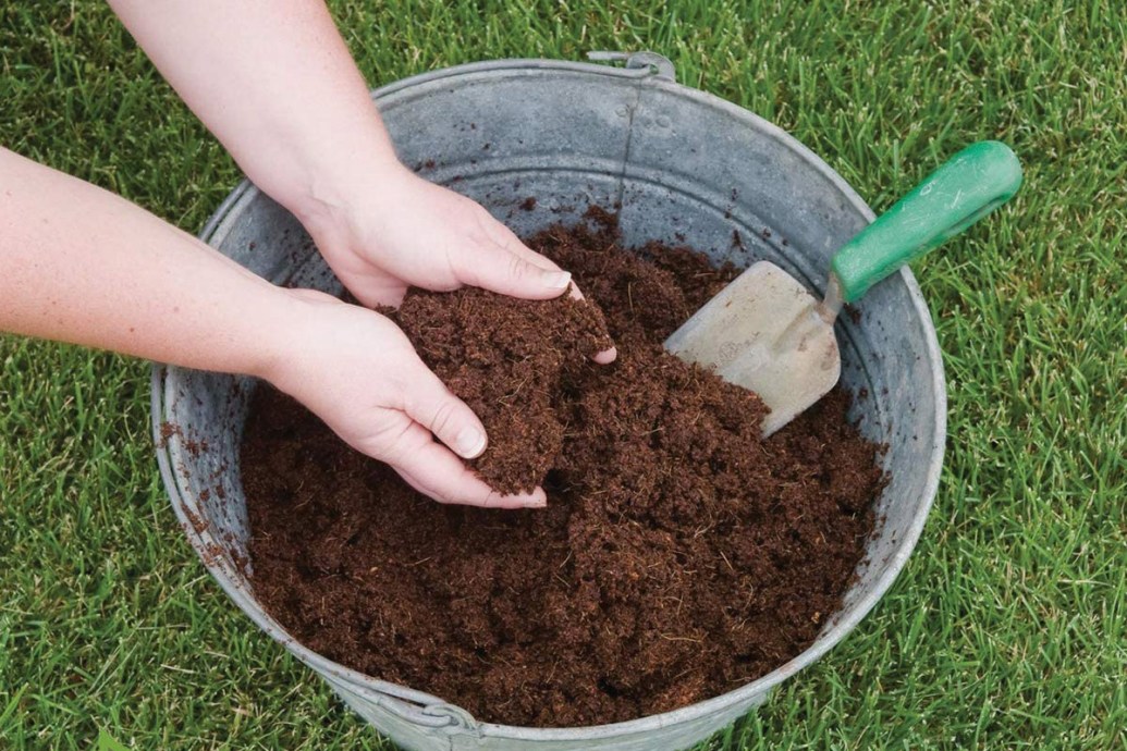 The Best Seed Starting Mixes - Picks by Bob Vila
