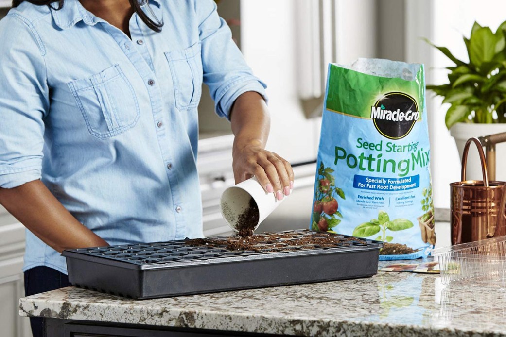 The Best Seed Starting Mixes - Picks by Bob Vila