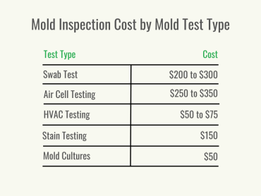 Here's How Much Mold Inspection Typically Costs - Bob Vila