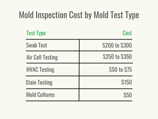 Here's How Much Mold Inspection Typically Costs - Bob Vila