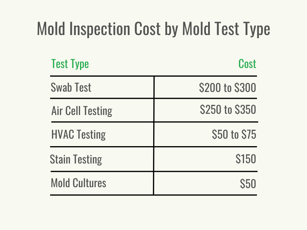 How Much Does Mold Inspection Cost in 2024?