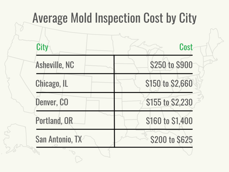 Here's How Much Mold Inspection Typically Costs - Bob Vila