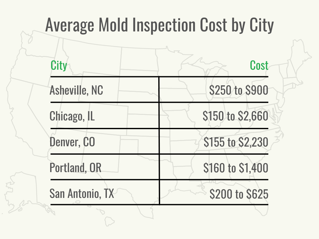How Much Does Mold Inspection Cost in 2024?