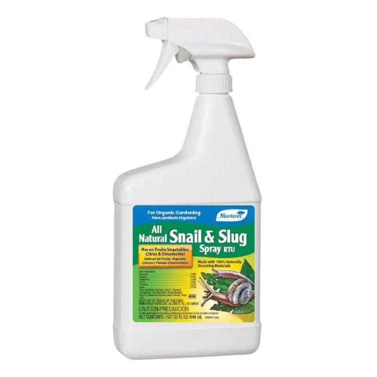 The Best Slug Killers - Pick by Bob Vila