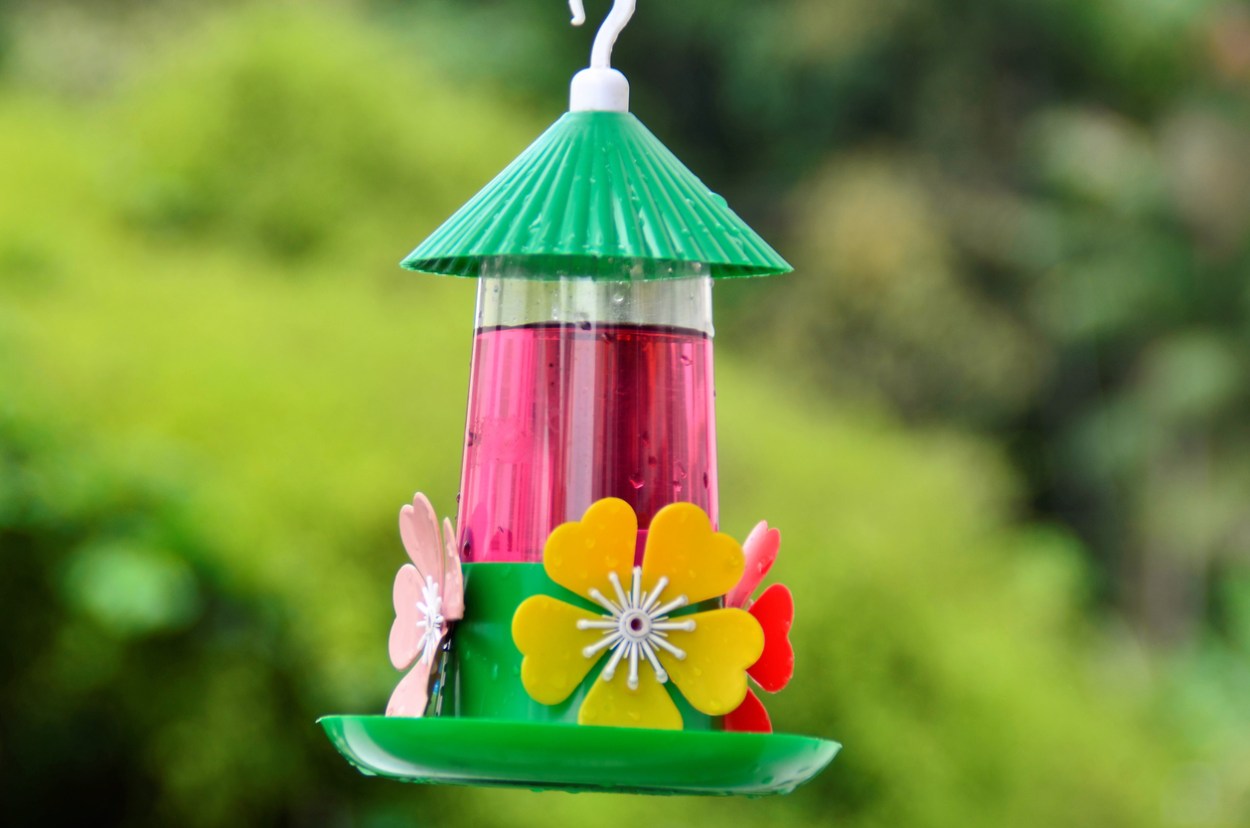7 Important Things to Know About Your Hummingbird Feeder - Bob Vila
