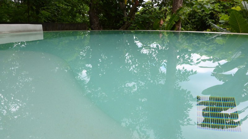 6 Reasons Why Your Pool Is Green—and How to Fix It