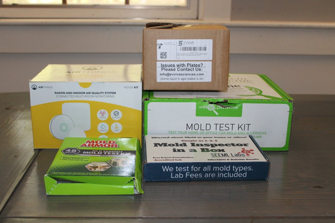 The Best Mold Test Kits of 2025 - Tested by Bob Vila