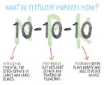 What Do Fertilizer Numbers Mean? All About N-P-K Ratios