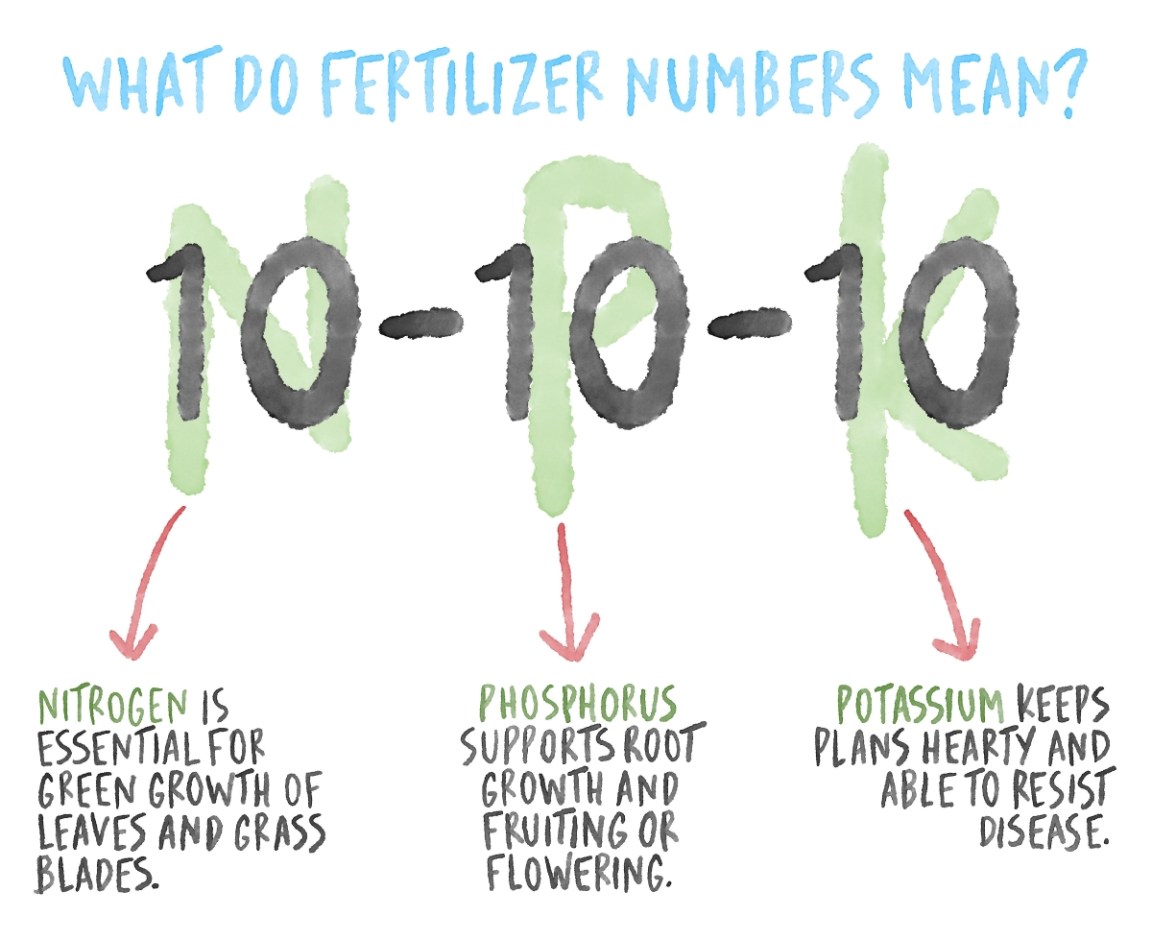 What Do Fertilizer Numbers Mean? All About N-P-K Ratios