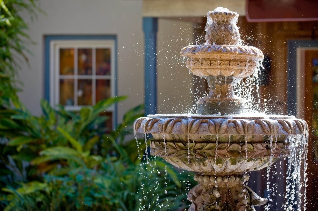 How To Get Rid of Frogs In The Garden (Homeowner's Guide) - Bob Vila