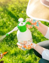 How To Get Rid of Pill Bugs in Your Home and Garden - Bob Vila